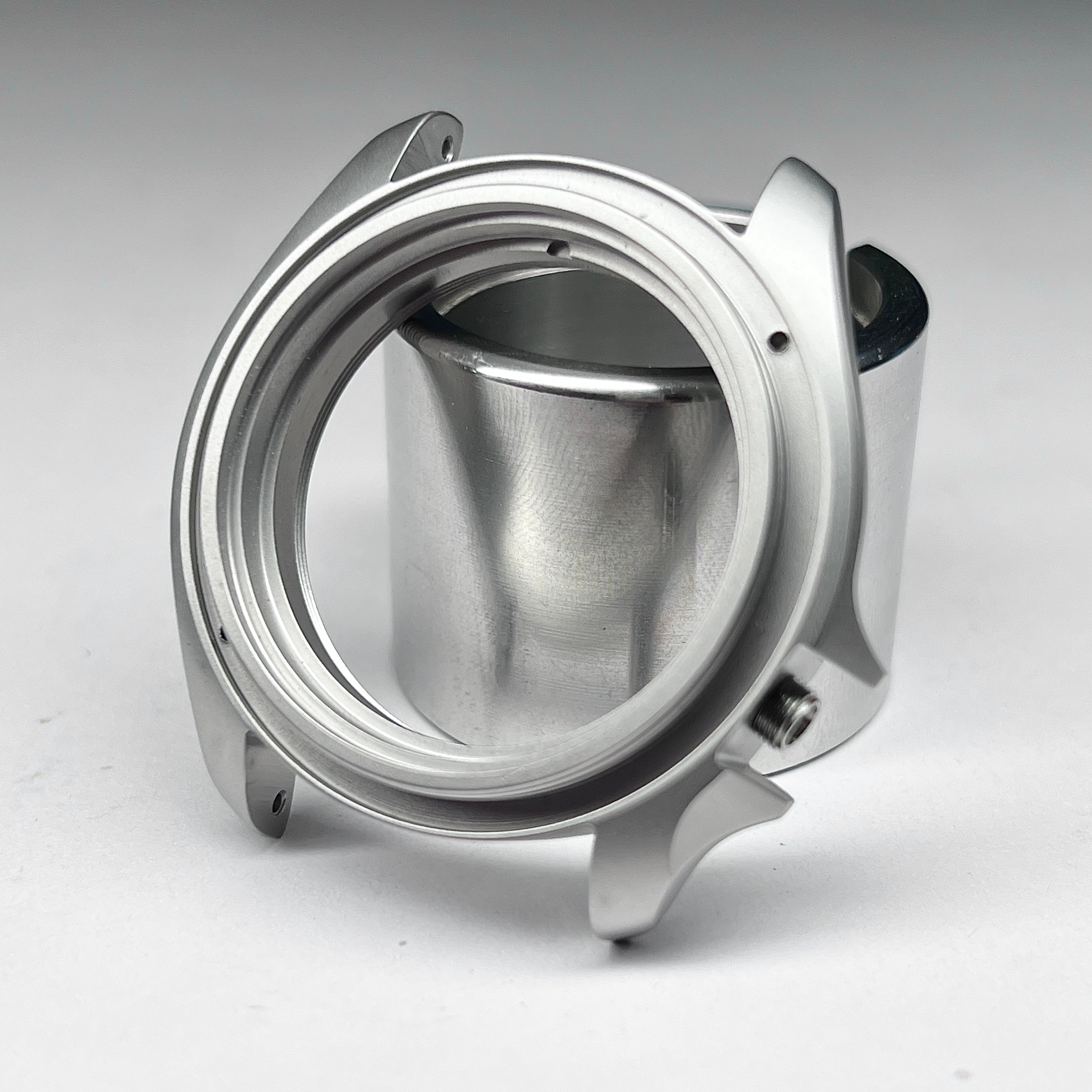 SKX007 3:80: Matte Silver Case with Crown Guard – WEEZMODS