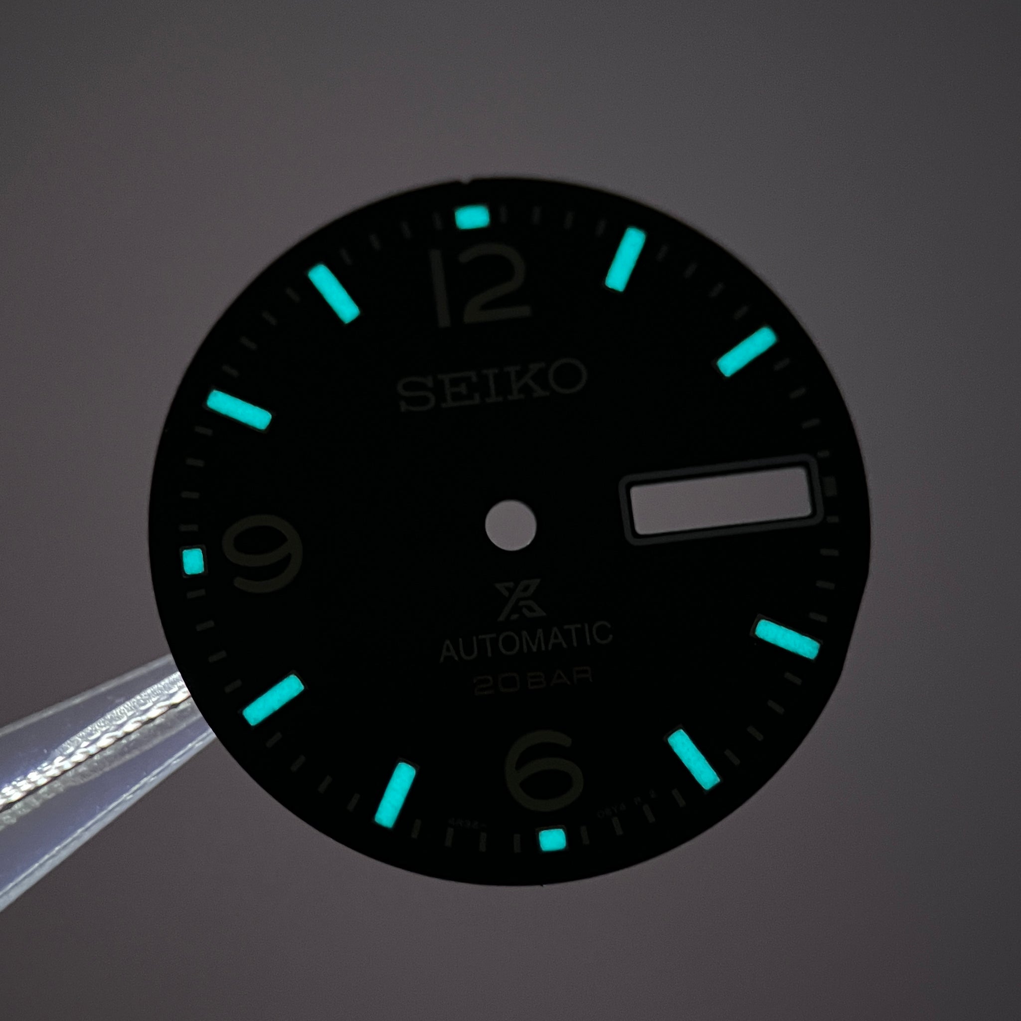 Seiko SRPD33 "Prospex Land" OEM Dial – WEEZMODS